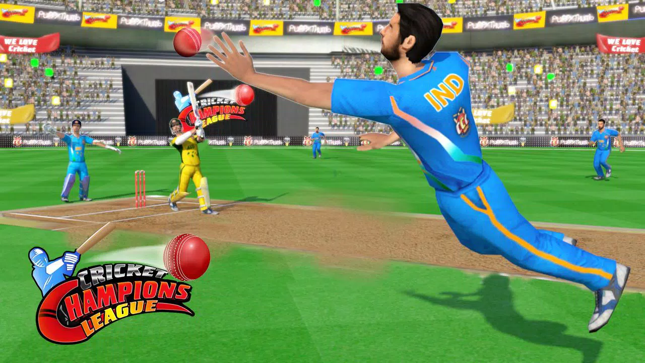 Download Cricket Games