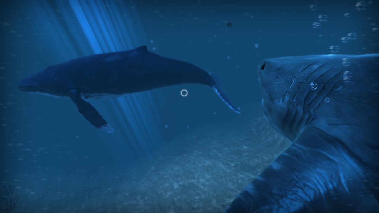 VR Shark Latest Version 1.0 for Android