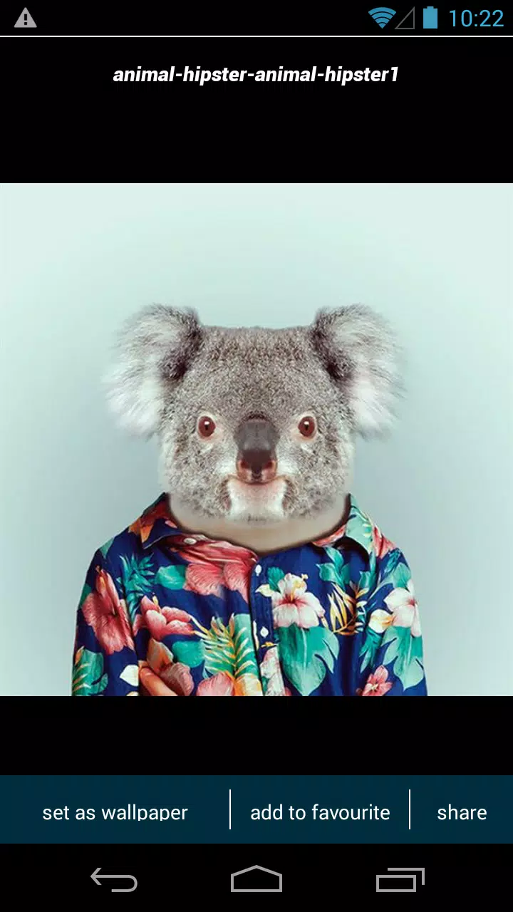 Hipster Animals Wallpaper