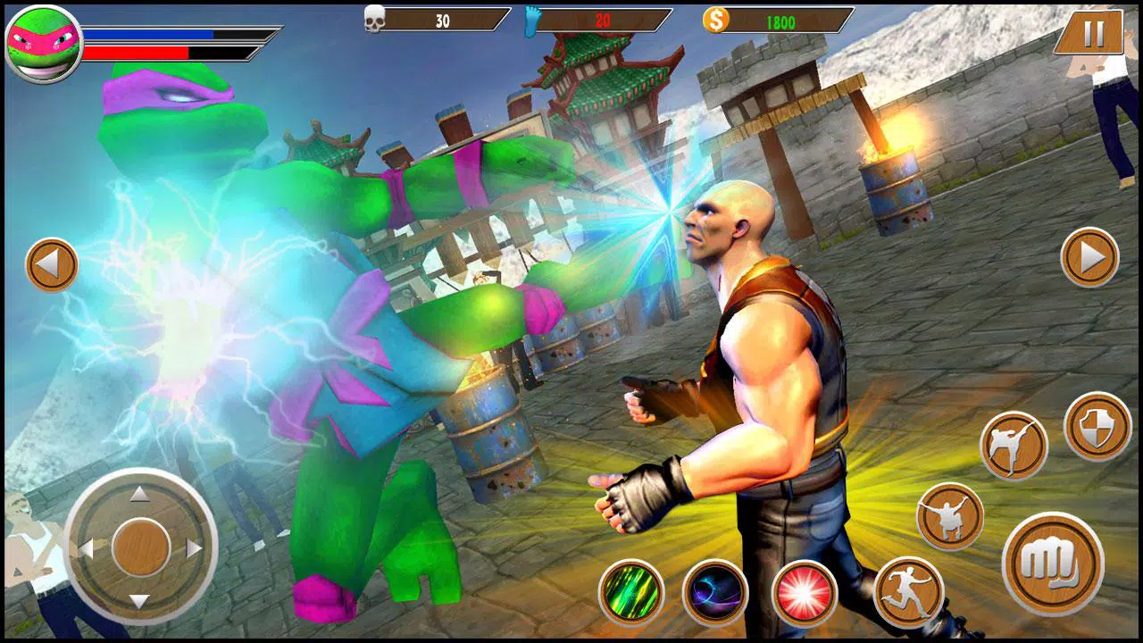 Chinese Ninja Warrior