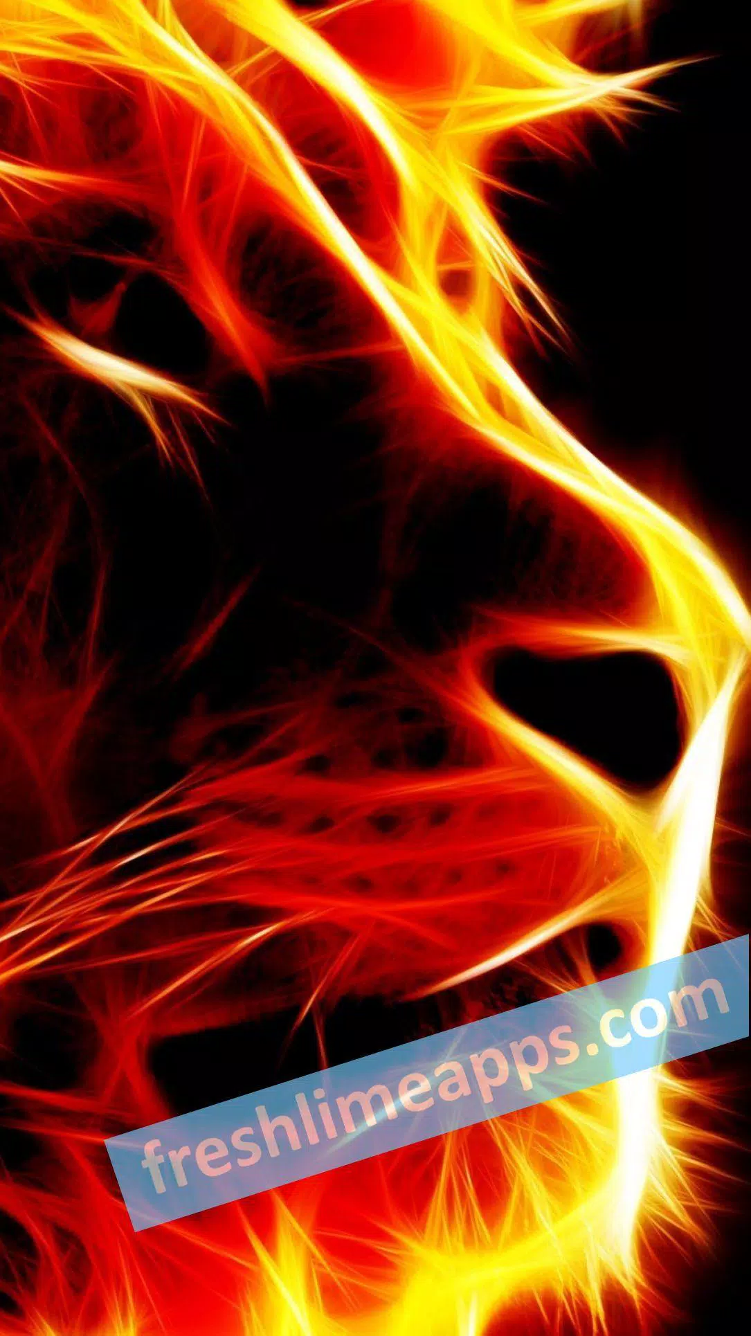 Cool Fire Wallpaper Hd