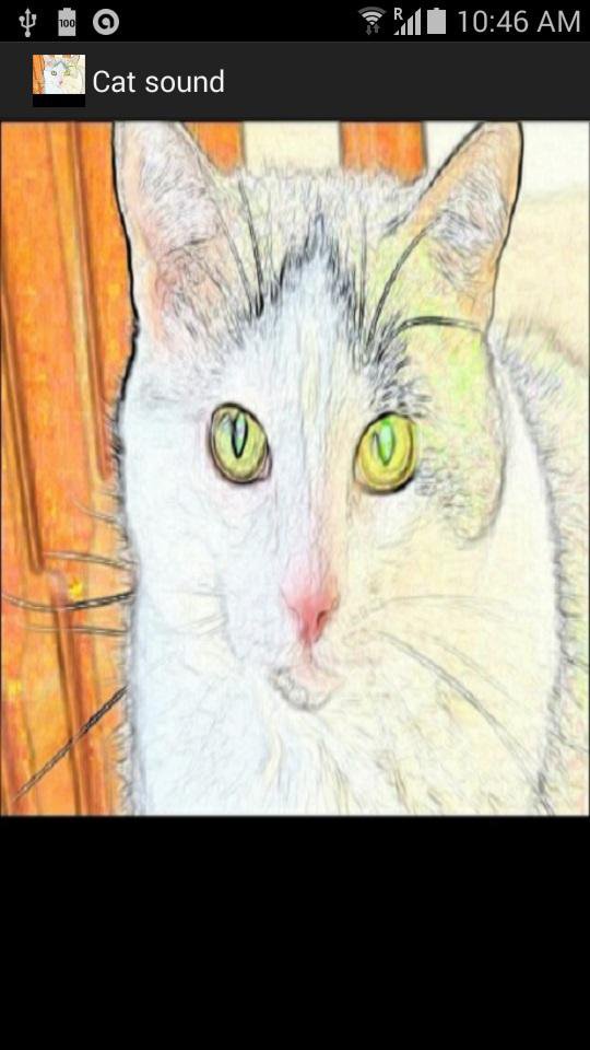 Cat Sound APK for Android Download