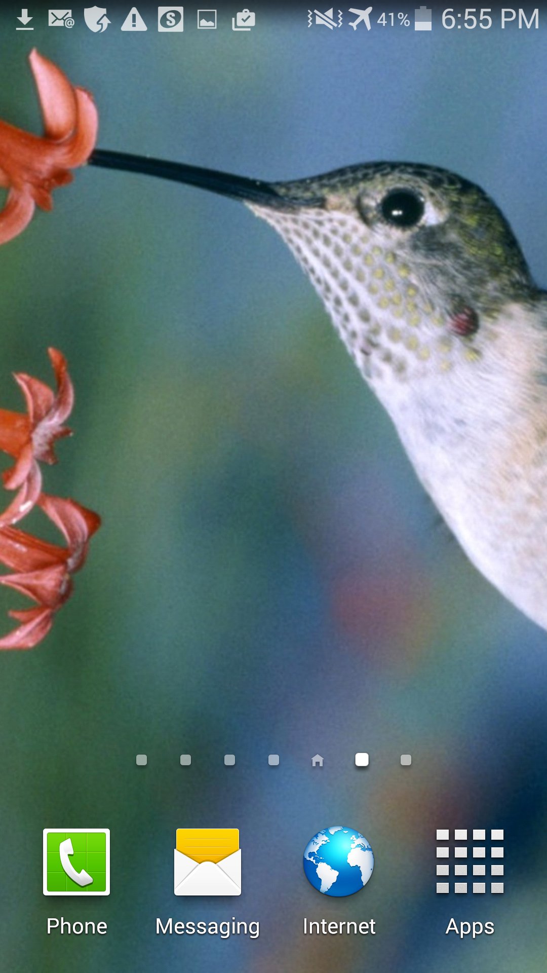 Hummingbirds Live Wallpaper APK für Android herunterladen