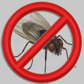 Anti Flies for Android - APK Download