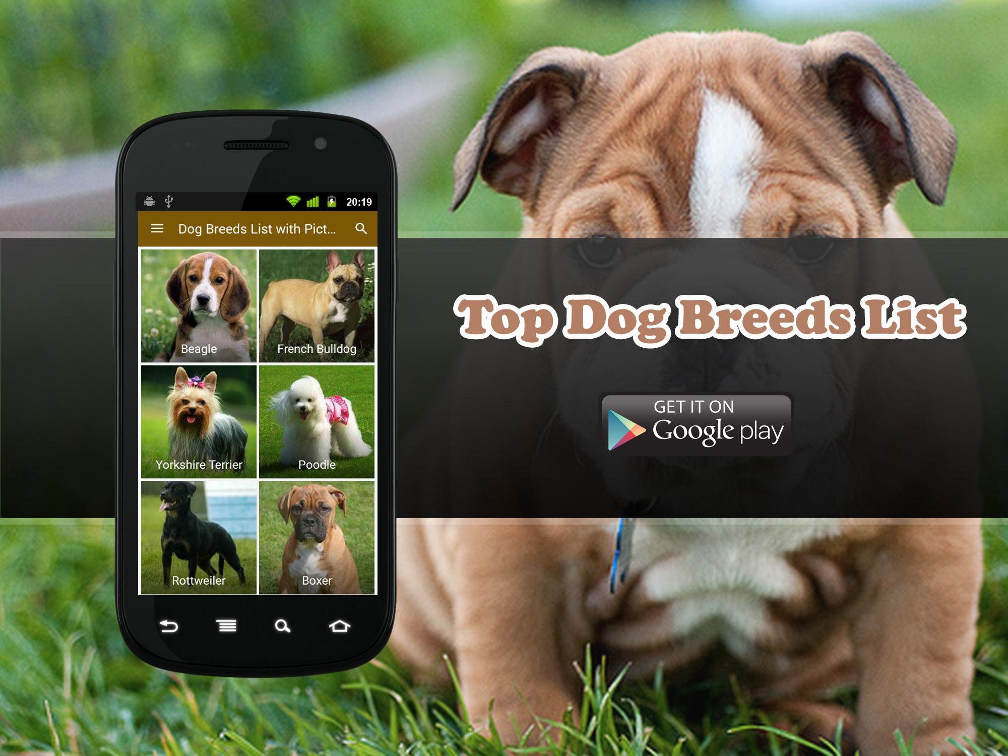 Android ডাউনলোডের জন্য 100 Most Popular Dog Breeds APK