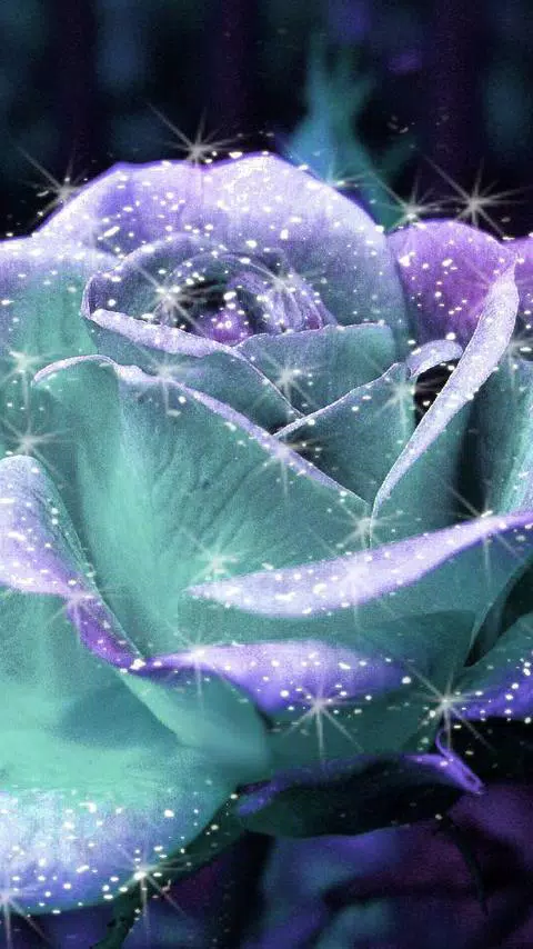 Glitter Rose Wallpaper
