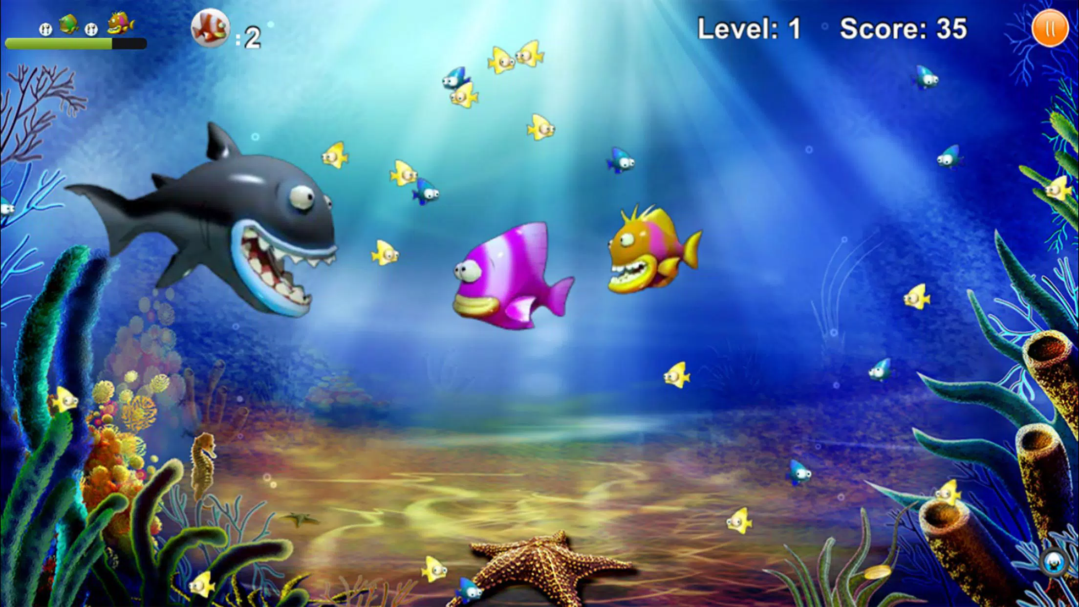 Feeding Frenzy Wallpaper