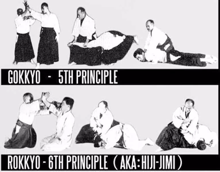 Aikido Techniques Pdf