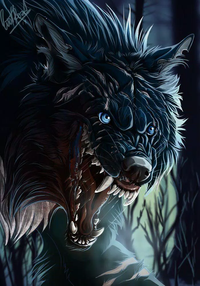 Awesome Anime Wolf Backgrounds