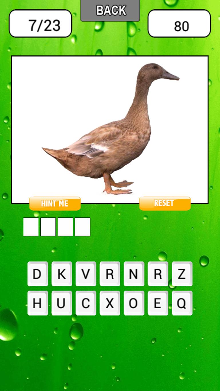 Animal quiz Guess word APK for Android Download Animal quiz Guess word APK for Android Download