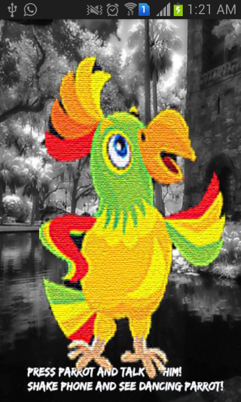 My Real Talking Parrot APK for Android Download