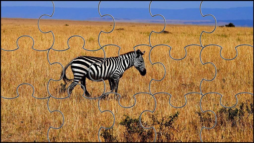 Zebra Jigsaw Puzzles Game APK for Android Download