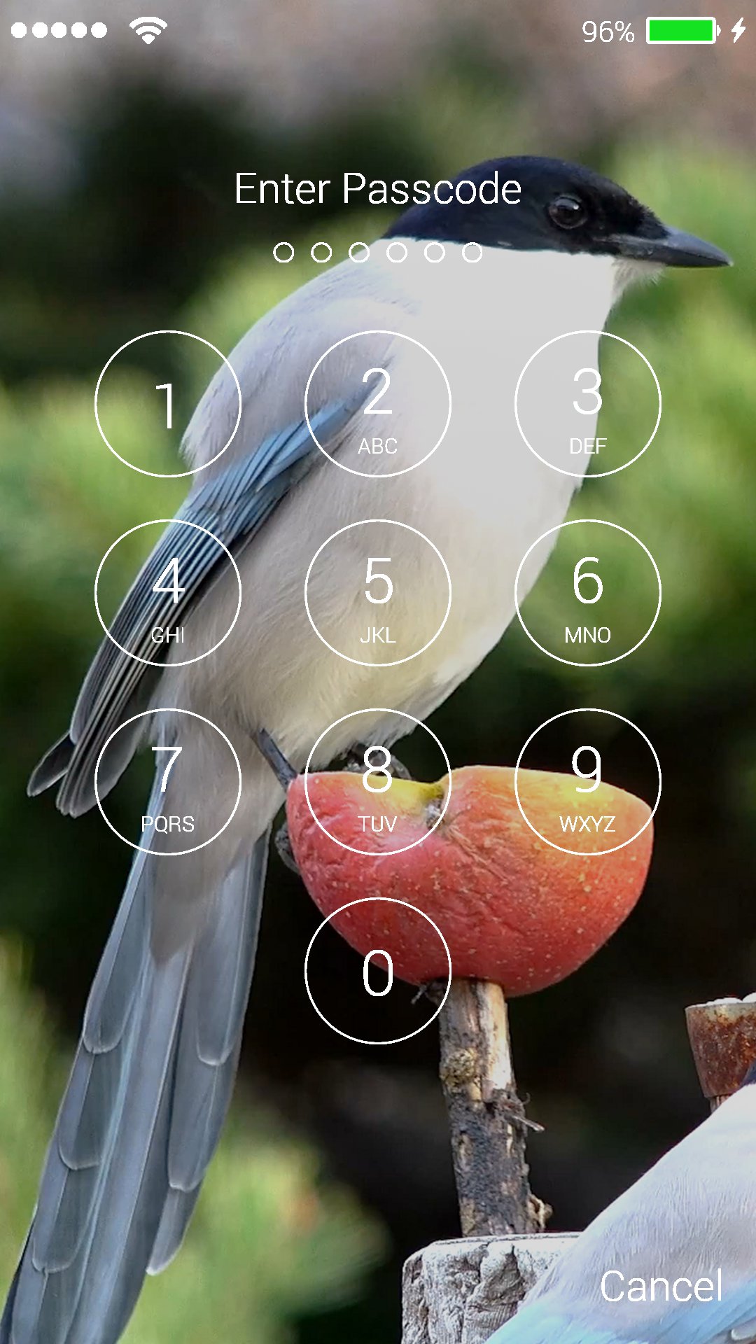 4K Garden Birds Lock Screen Wallpaper APK للاندرويد تنزيل