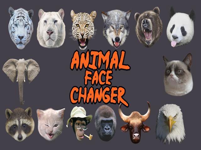 Animal Face Changer APK for Android Download