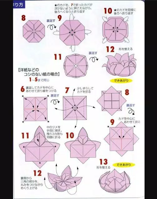 Origami Lotus Sherlock