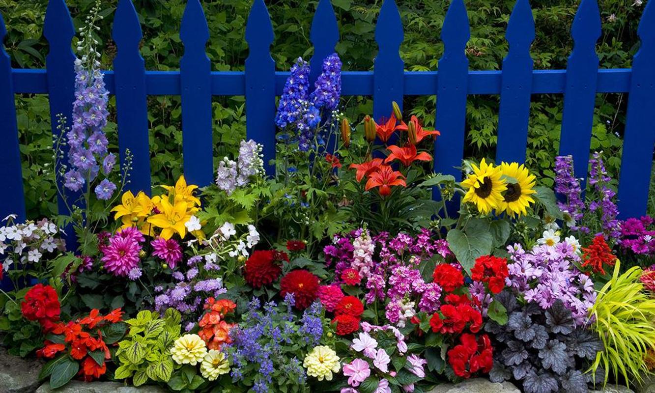 Flower Puzzle For Android APK Download flower-puzzle-for-android-apk-download