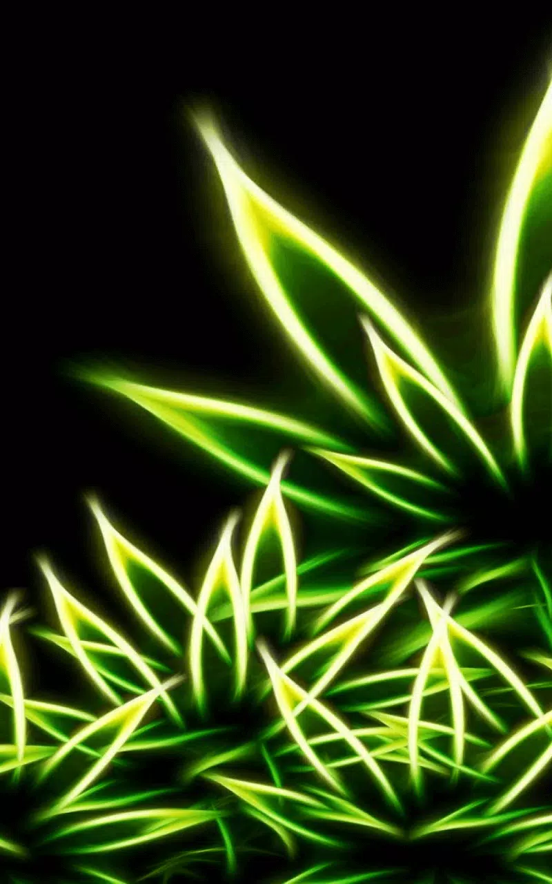 Rasta Weed Wallpapers