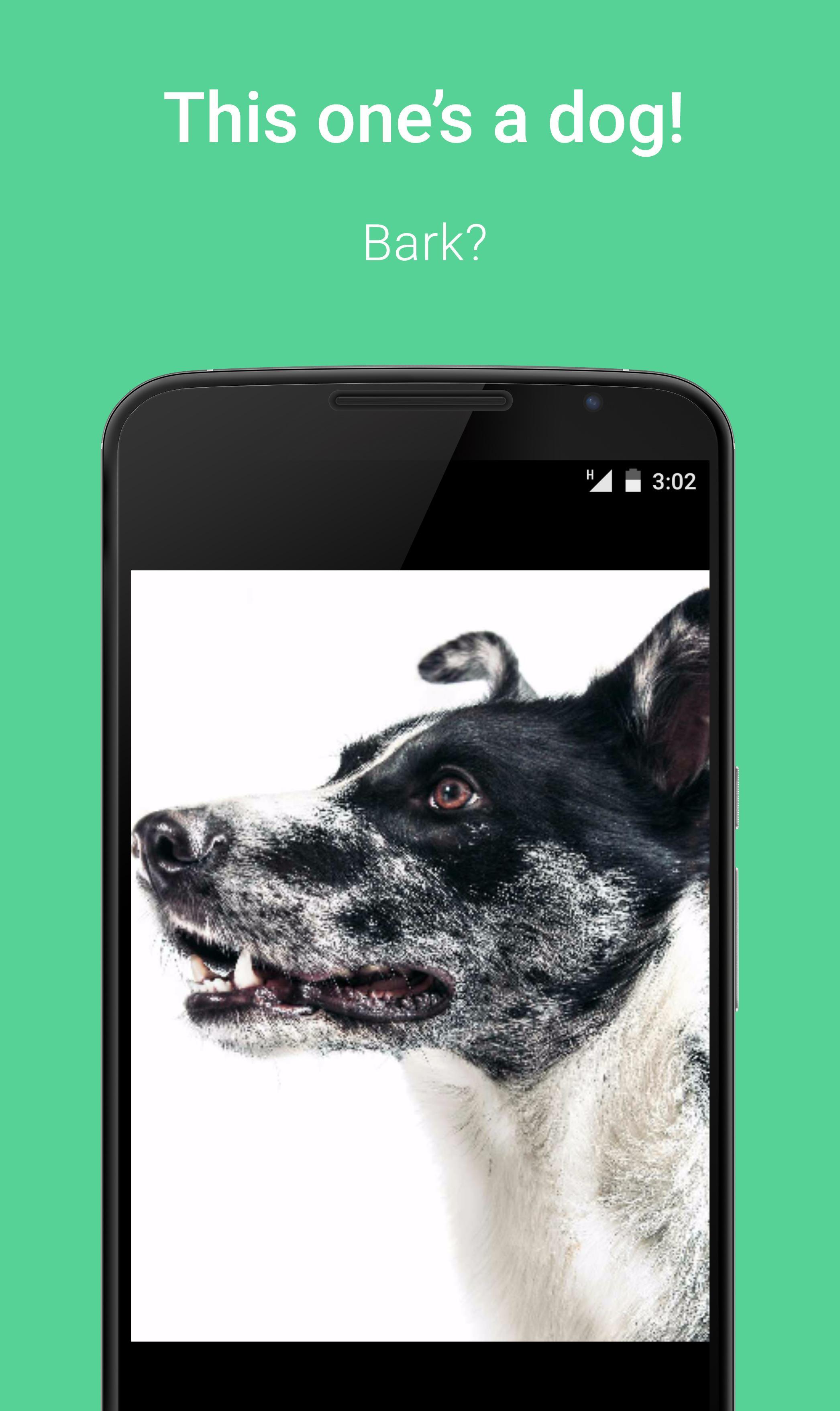 Ruffle APK for Android Download