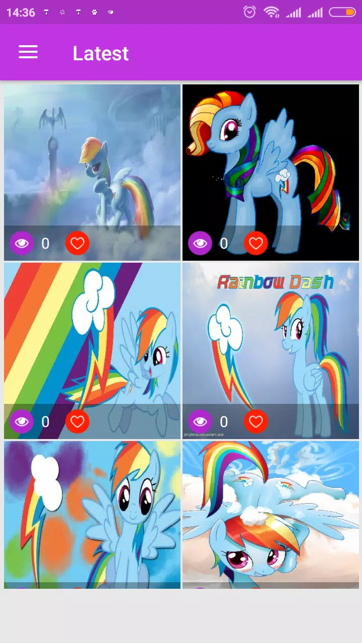 Rainbow Dash Brony Wallpaper