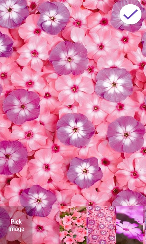 Flowers Lock Screen Pro APK for Android Download