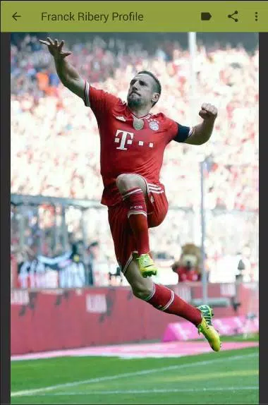 Franck Ribery Wallpaper