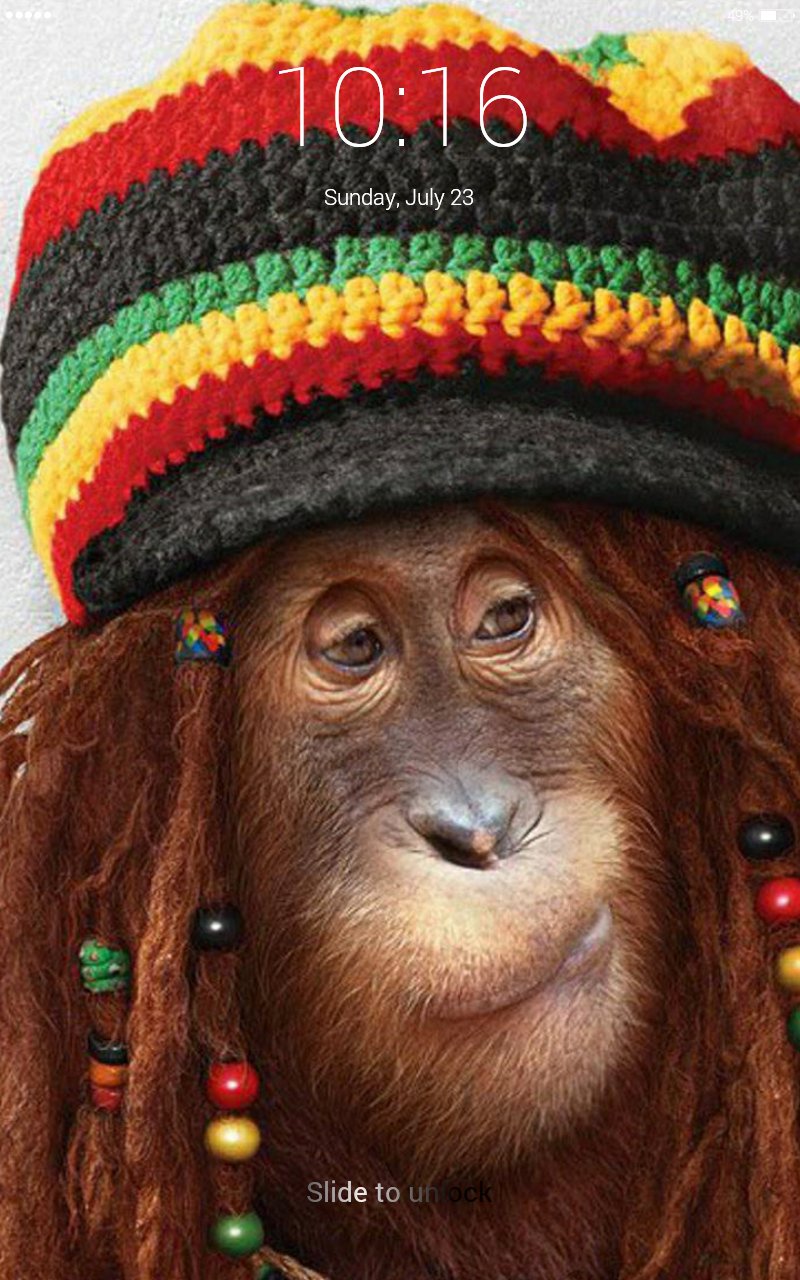 Funny monkeys lock screen 4K wallpaper APK untuk Unduhan Android