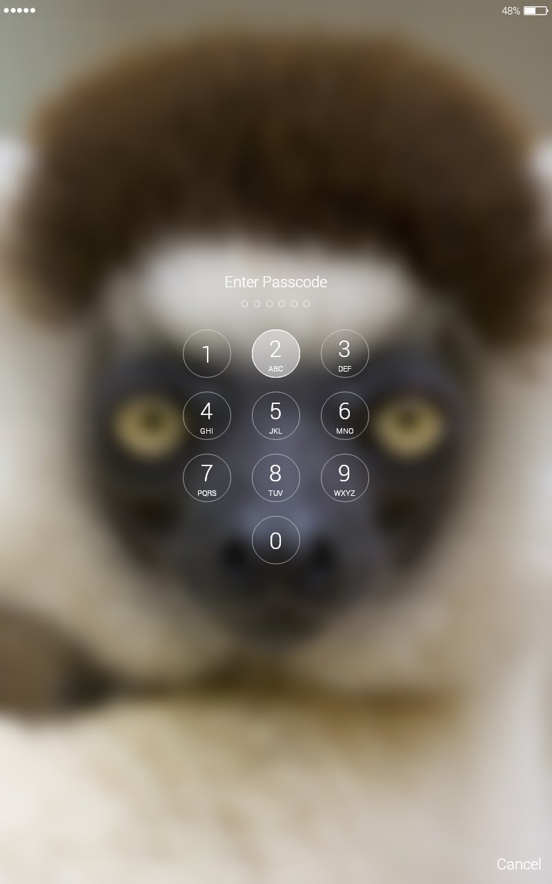 Funny monkeys lock screen 4K wallpaper APK für Android herunterladen