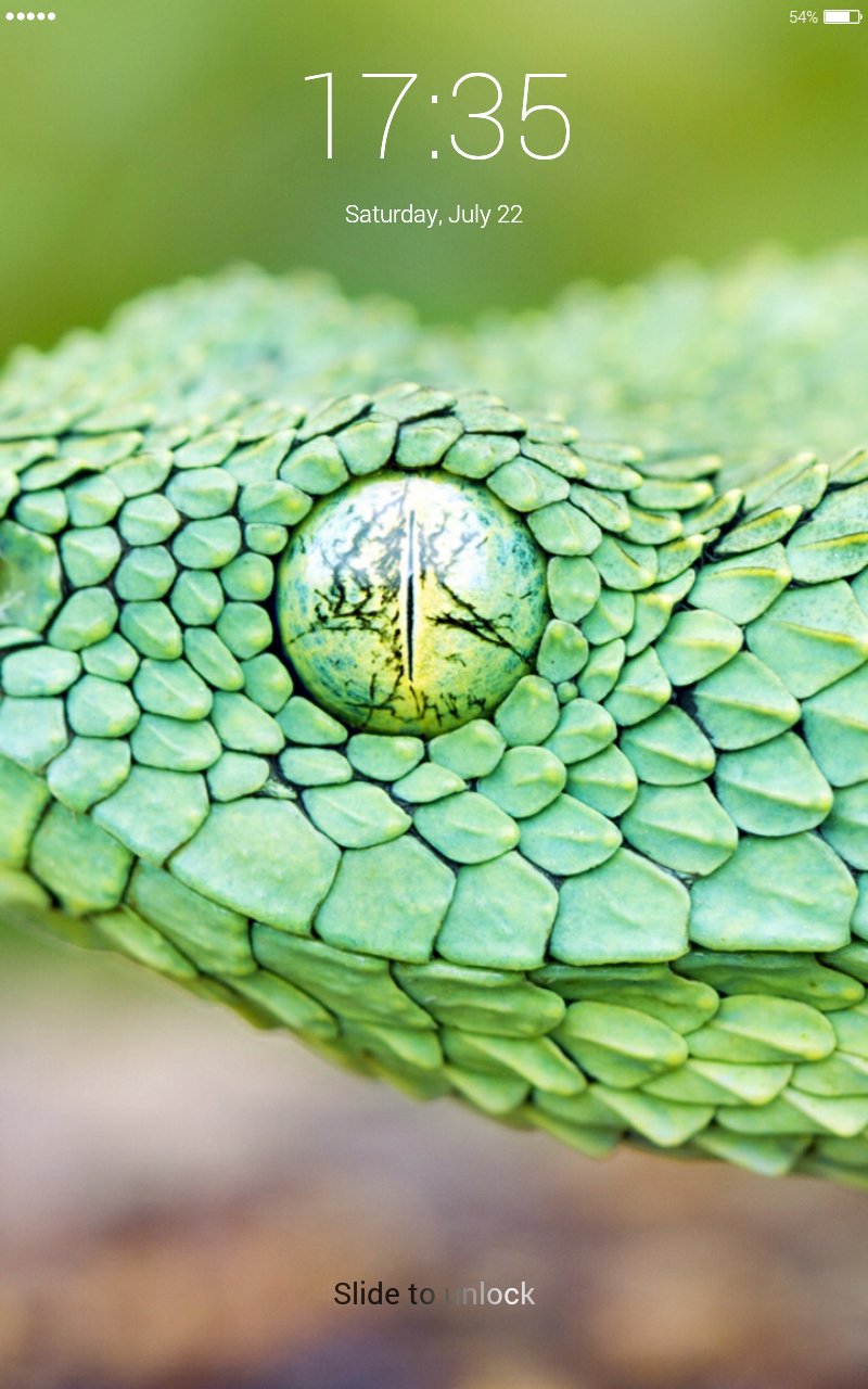 Snake eyes lock screen 4K wallpaper APK for Android Download