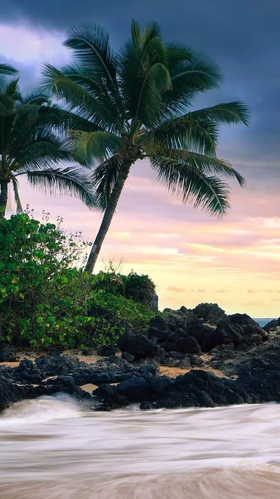 Hawaii Beaches Iphone Wallpaper