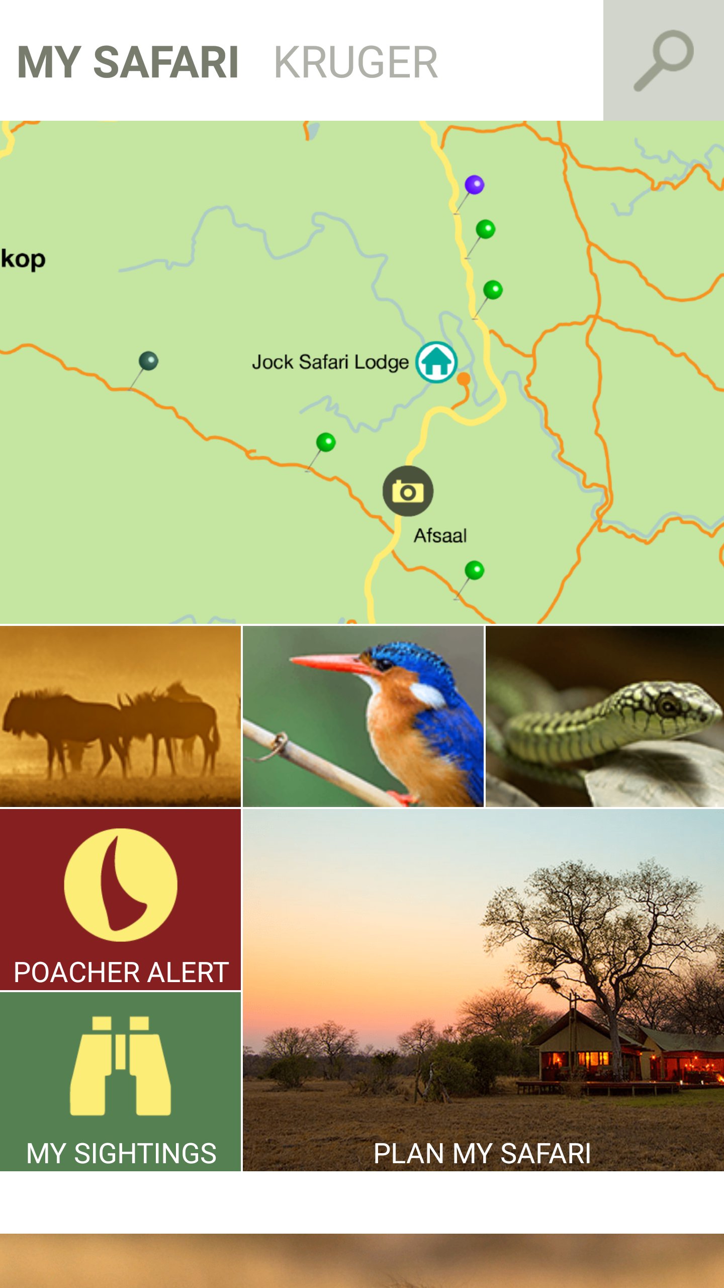 Descargar MY SAFARI - Ranger Edition APK Última Versión 1.21 para Android