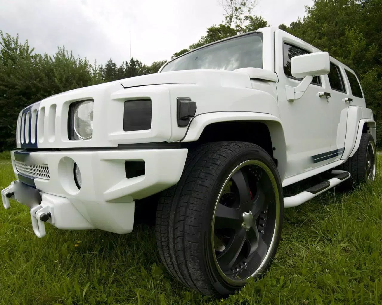 White Hummer Wallpaper