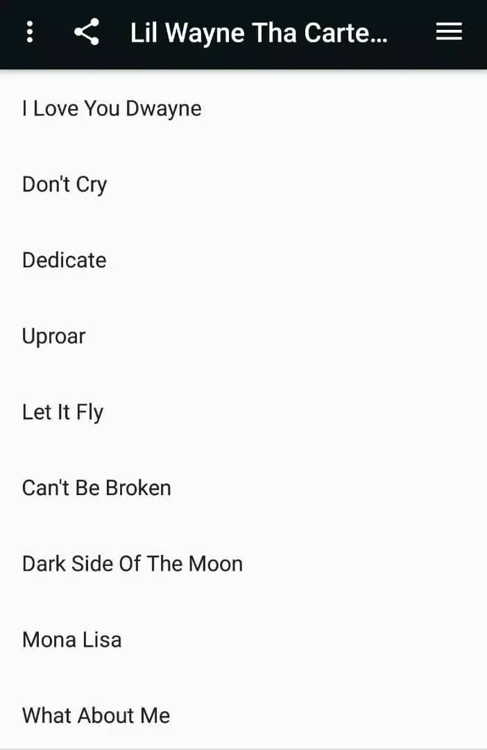 Lil Wayne The Carter 5 Tracklist