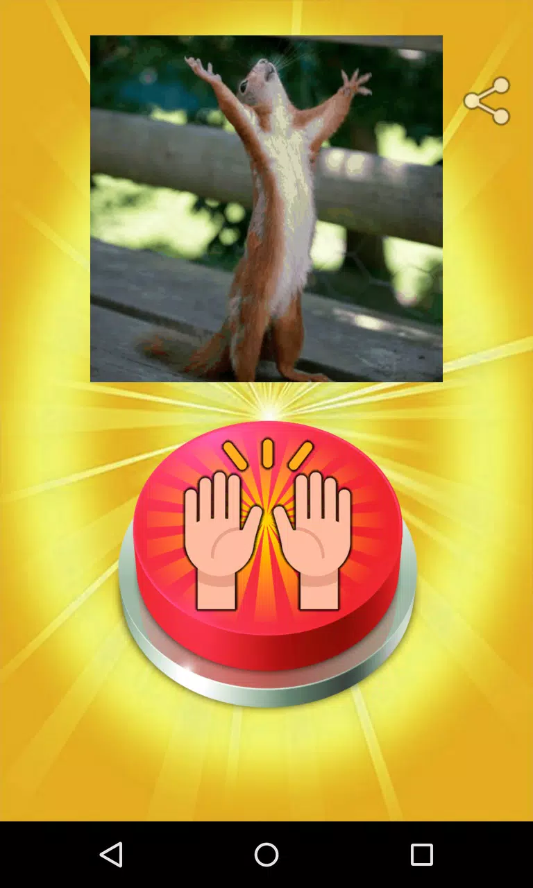 Hallelujah Squirrel