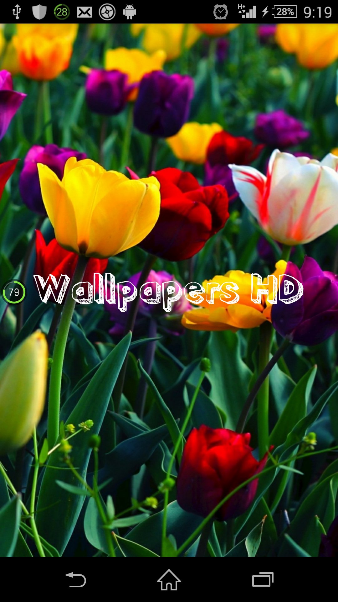 Wallpapers HD APK for Android Download