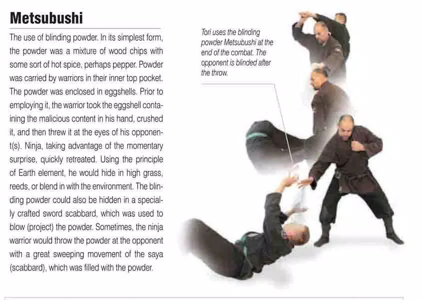 Ninjutsu Techniques