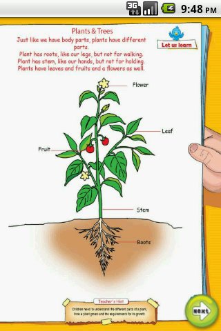 Trees And Plants for UKG Kids APK for Android Download