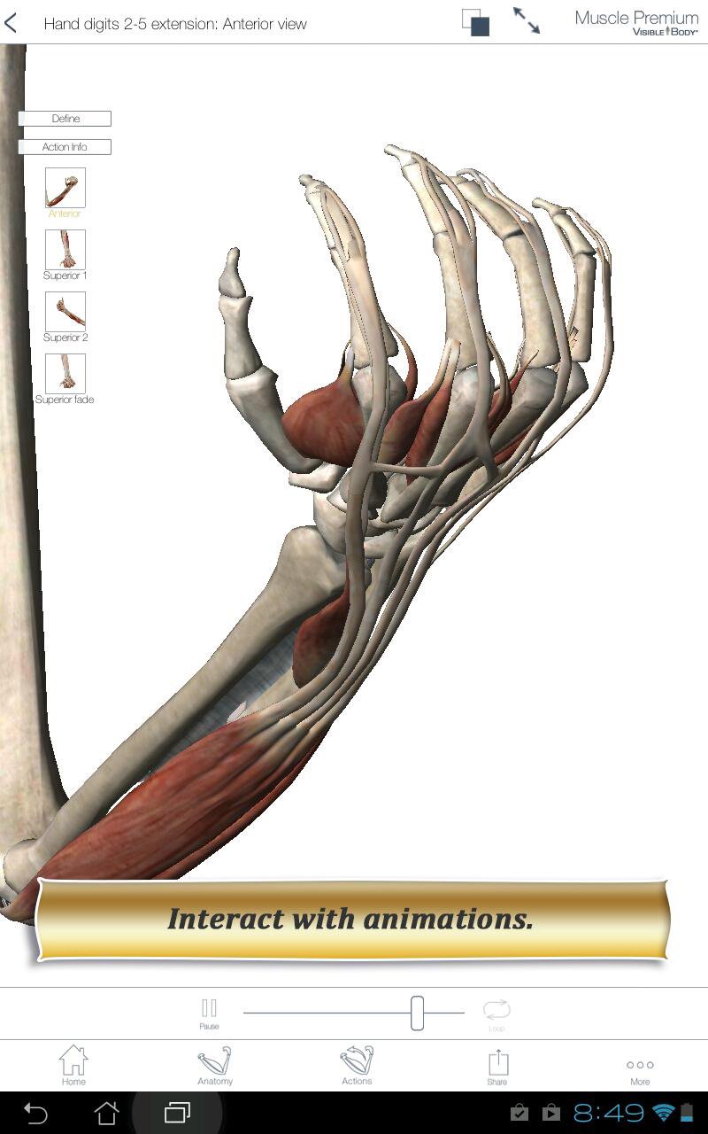 Muscle Premium for Android - APK Download