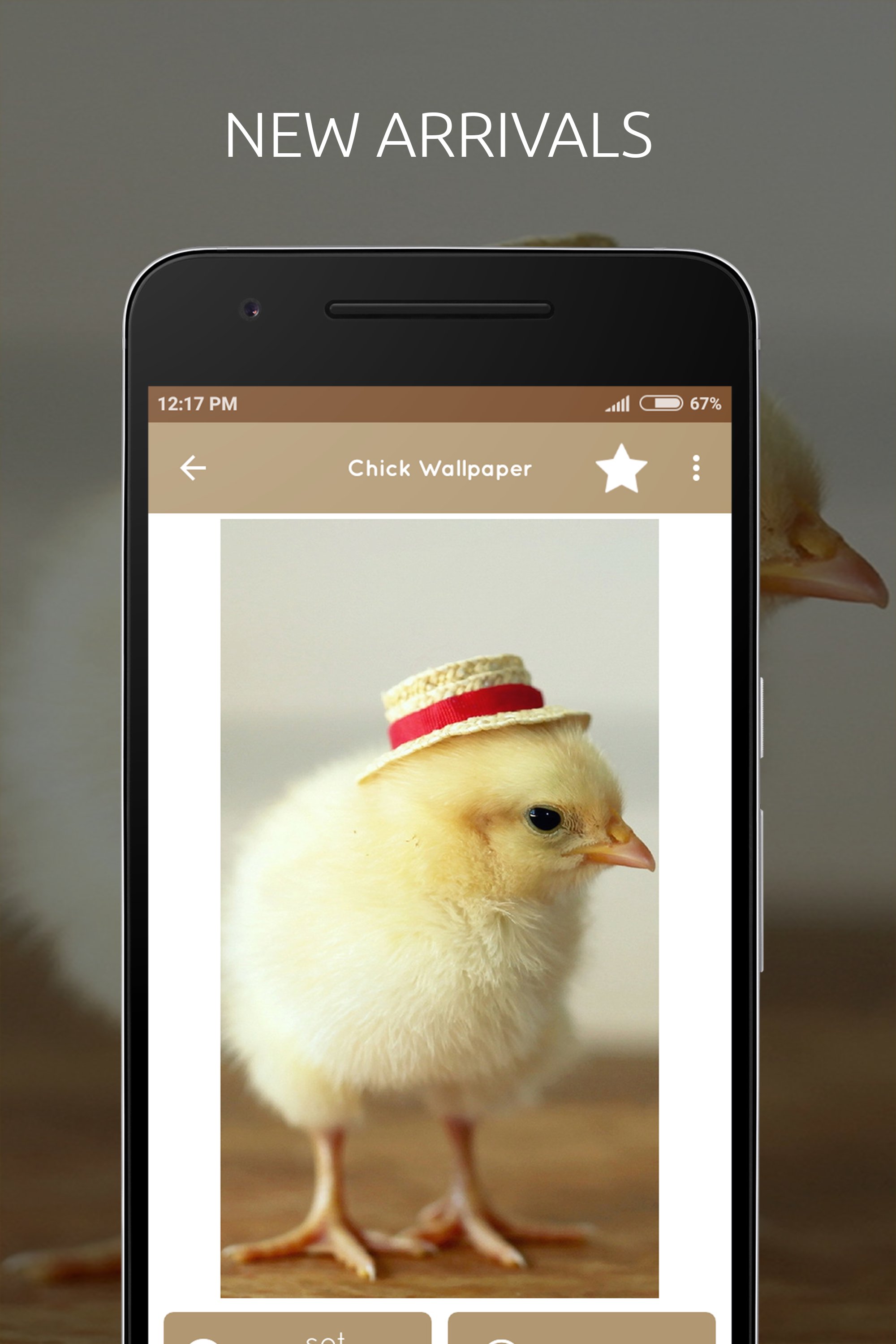 Chick Wallpaper APK برای دانلود اندروید