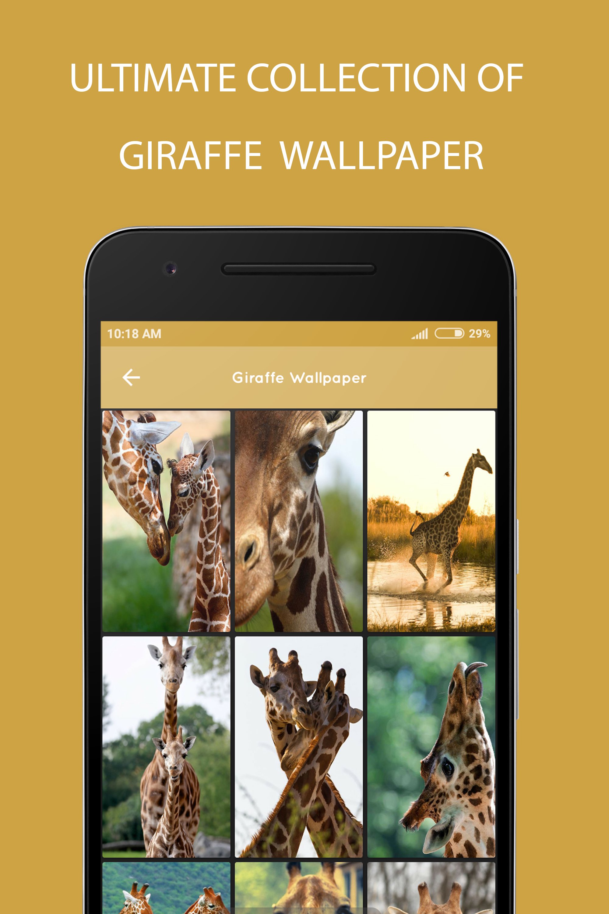Descargar Giraffe Wallpaper APK Última Versión 1.0.0 para Android