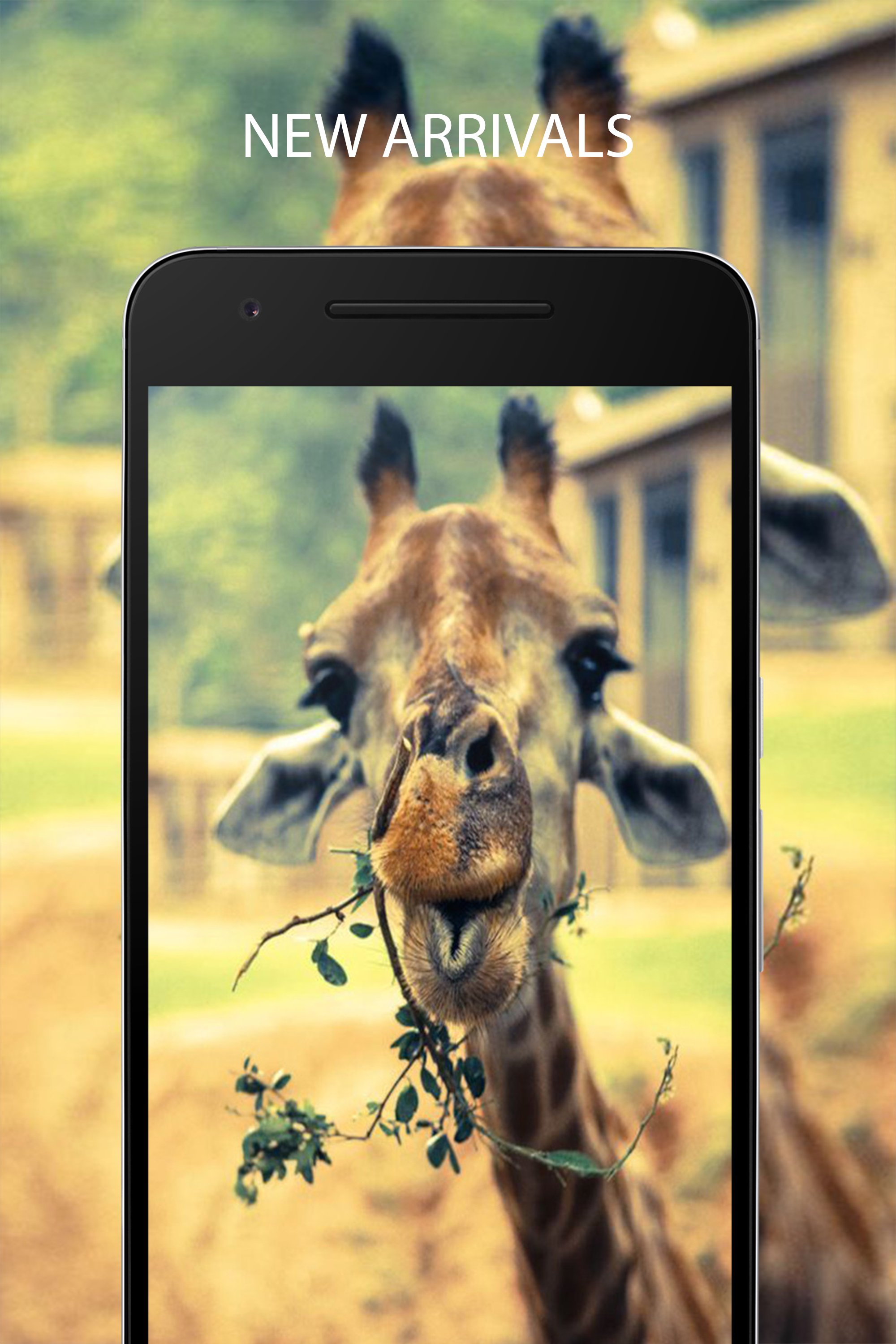 Download do APK de Giraffe Wallpaper para Android