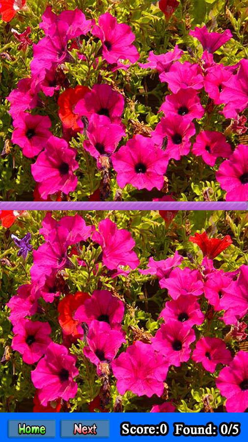 Spot The Difference Games For Adults APK For Android Download spot-the-difference-games-for-adults-apk-for-android-download