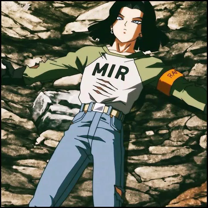 Android 17 Wallpaper