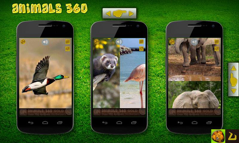 Animals 360 APK for Android Download