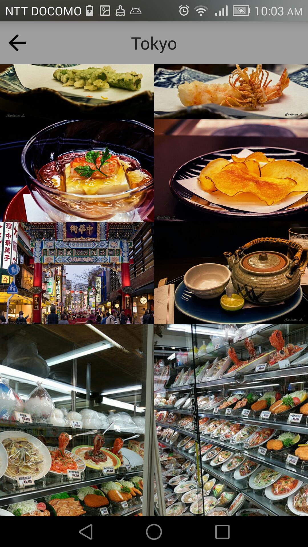 World Food Explorer APK for Android Download