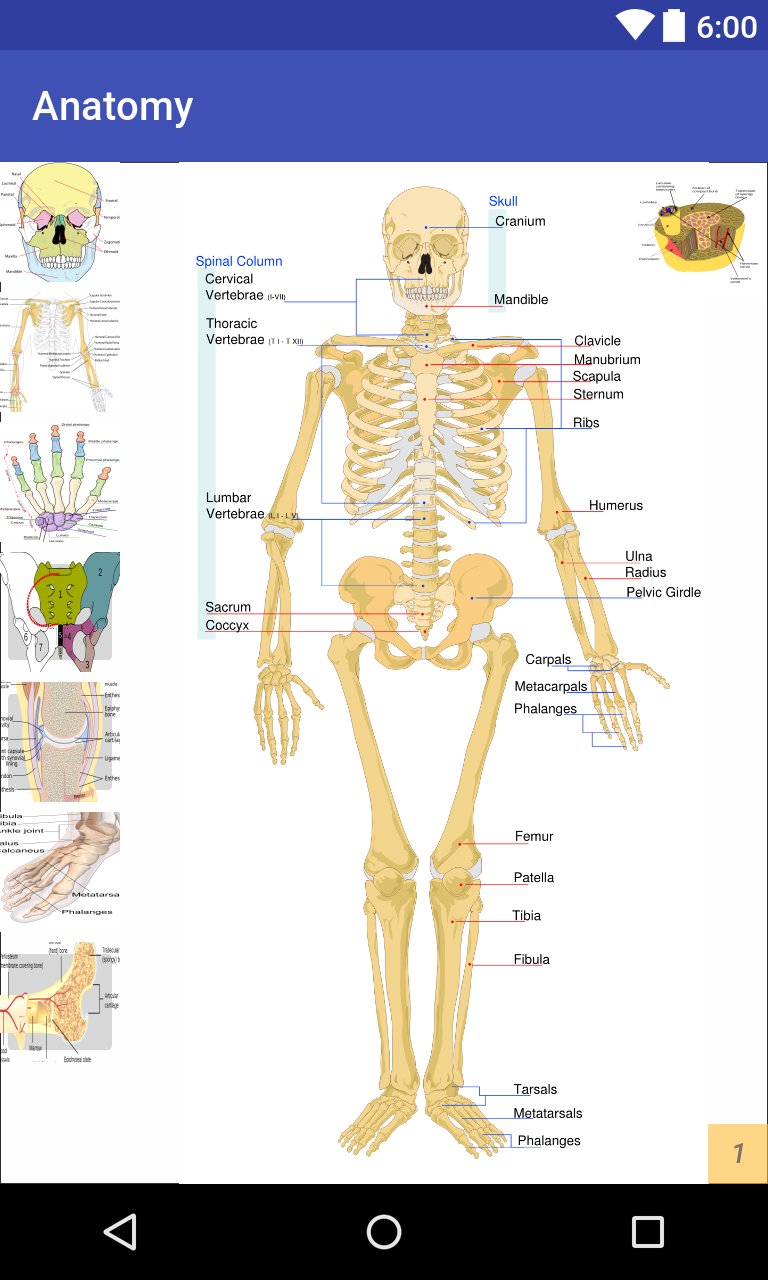 Easy Anatomy APK for Android Download