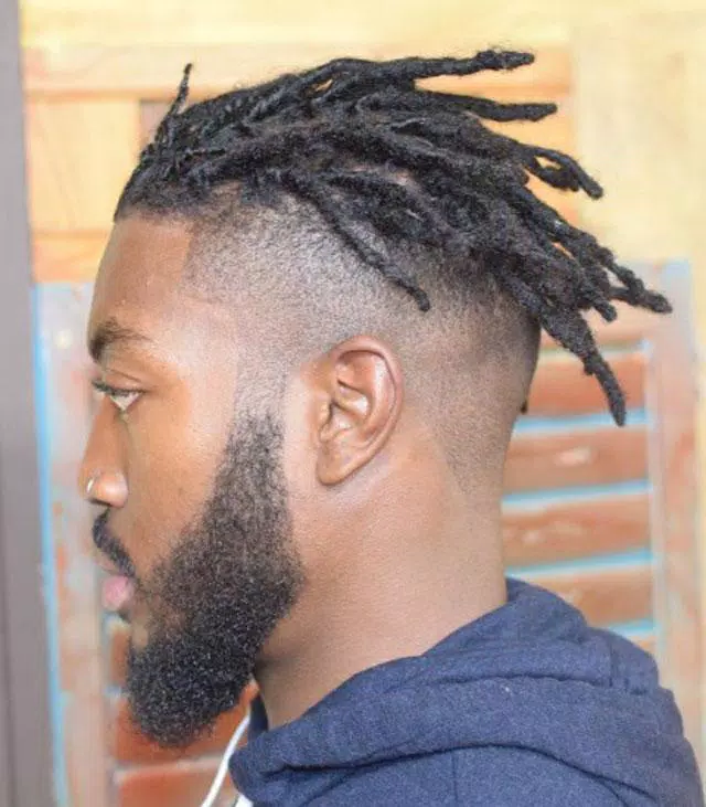 Rasta Hairstyles For Men