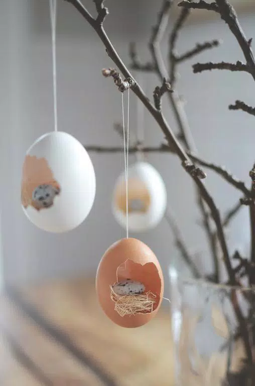 Egg Shell Art Projects