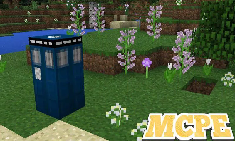 Tardis Minecraft Pe
