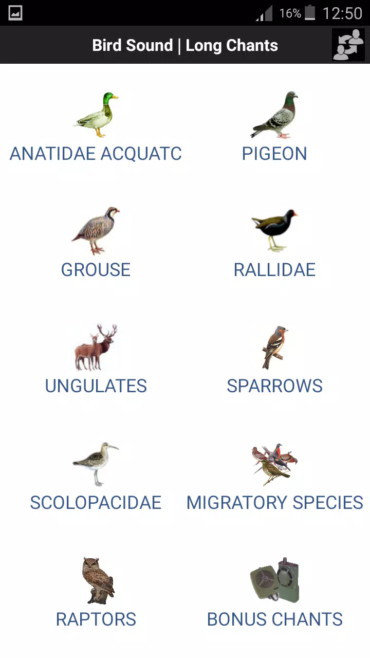 Aerial Animals Pictures