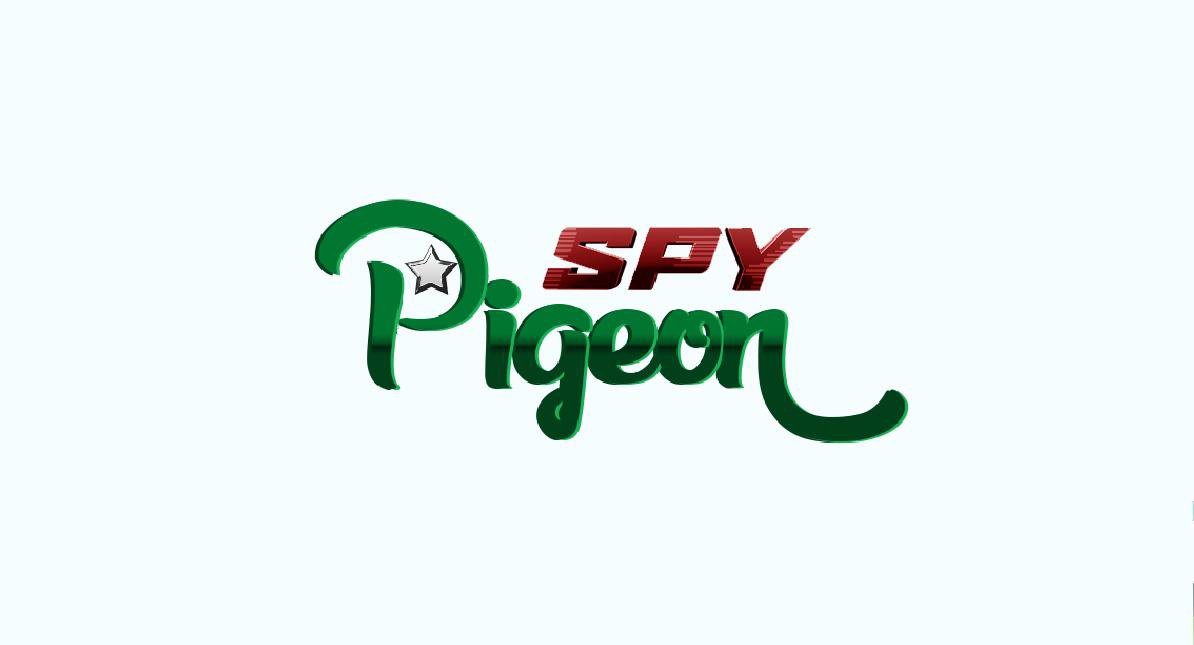 Spy Pigeon APK برای دانلود اندروید